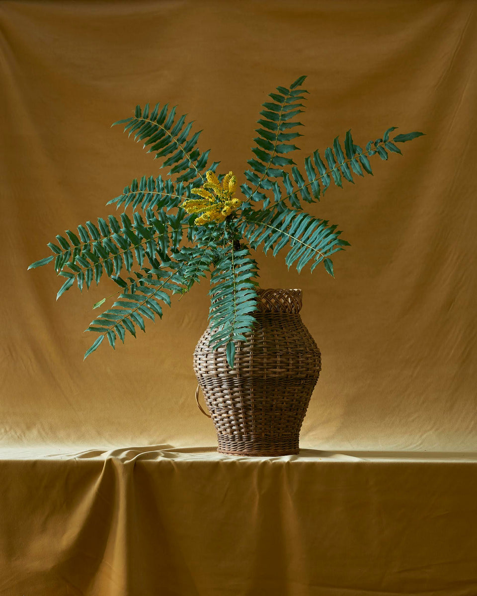 Basket Case – Parlour Projects